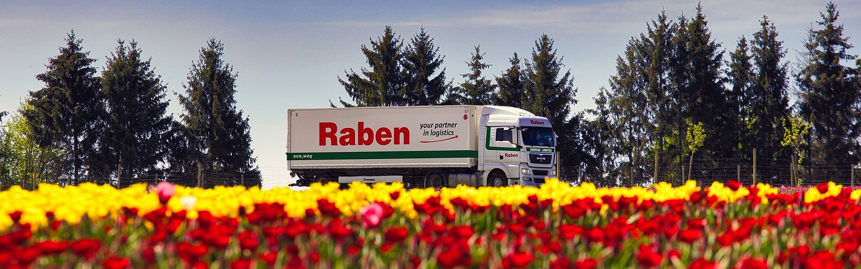 Nowoczesne rozwiązania logistyczne - Raben Group